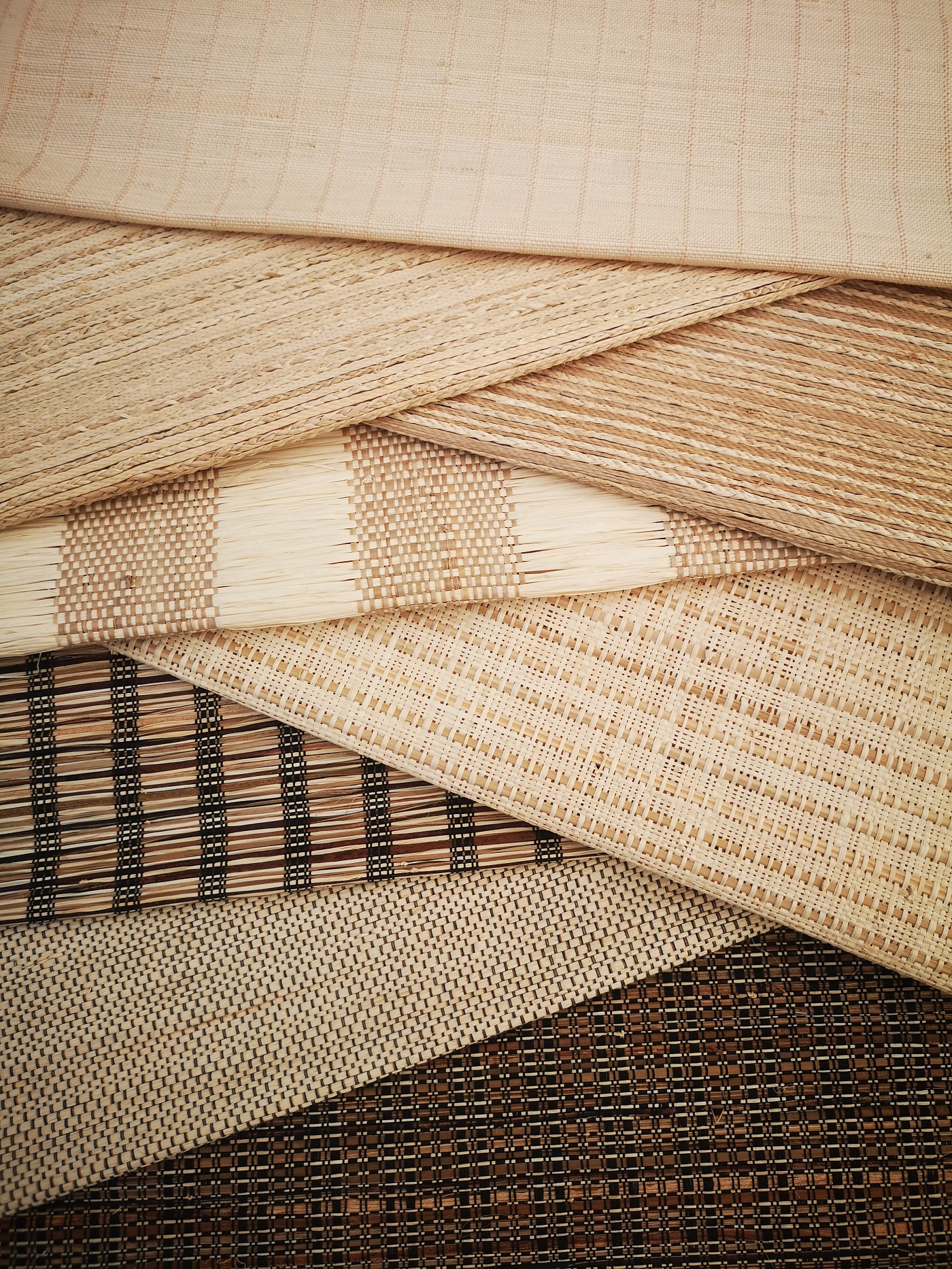 Evasion | Bisson Bruneel