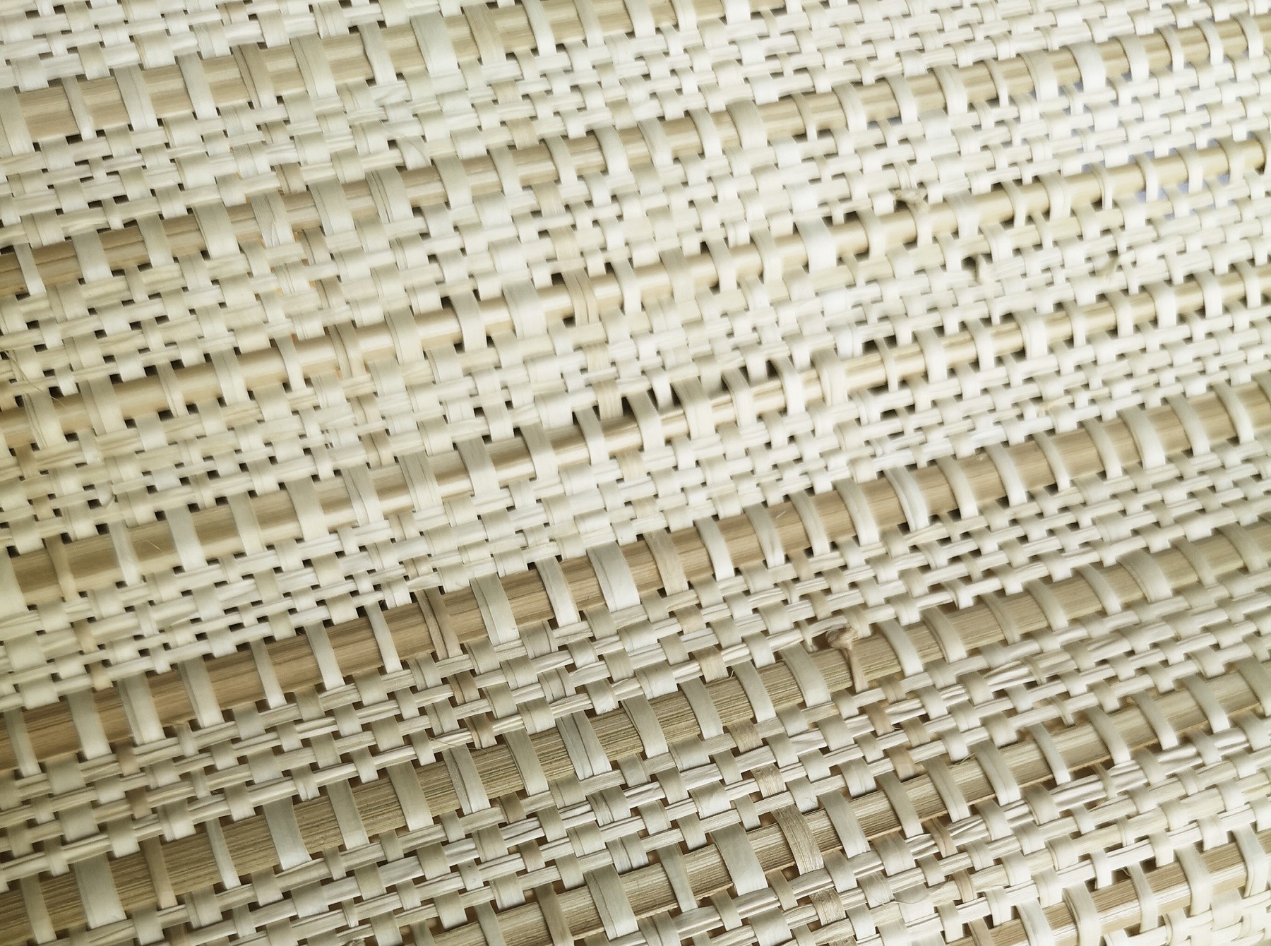 Mur d'Evasion | Bisson Bruneel